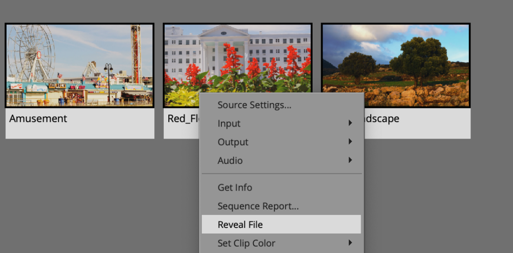 reveal-file | GeniusDV